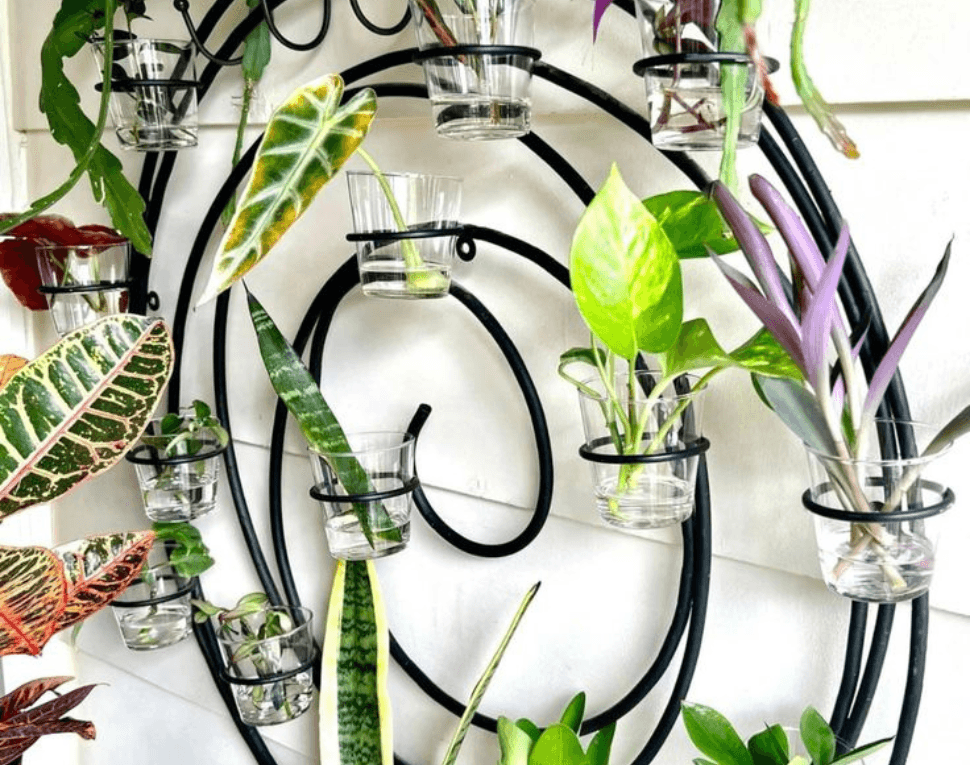 How to Create the Perfect Plant Propagation Station