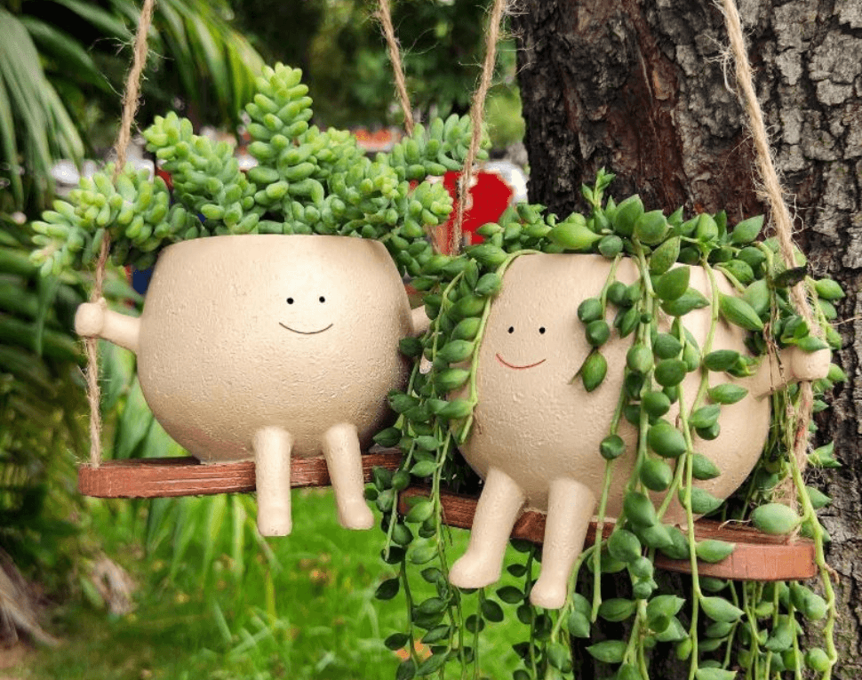 Cute Plant Accessories that Make Life Worth Living