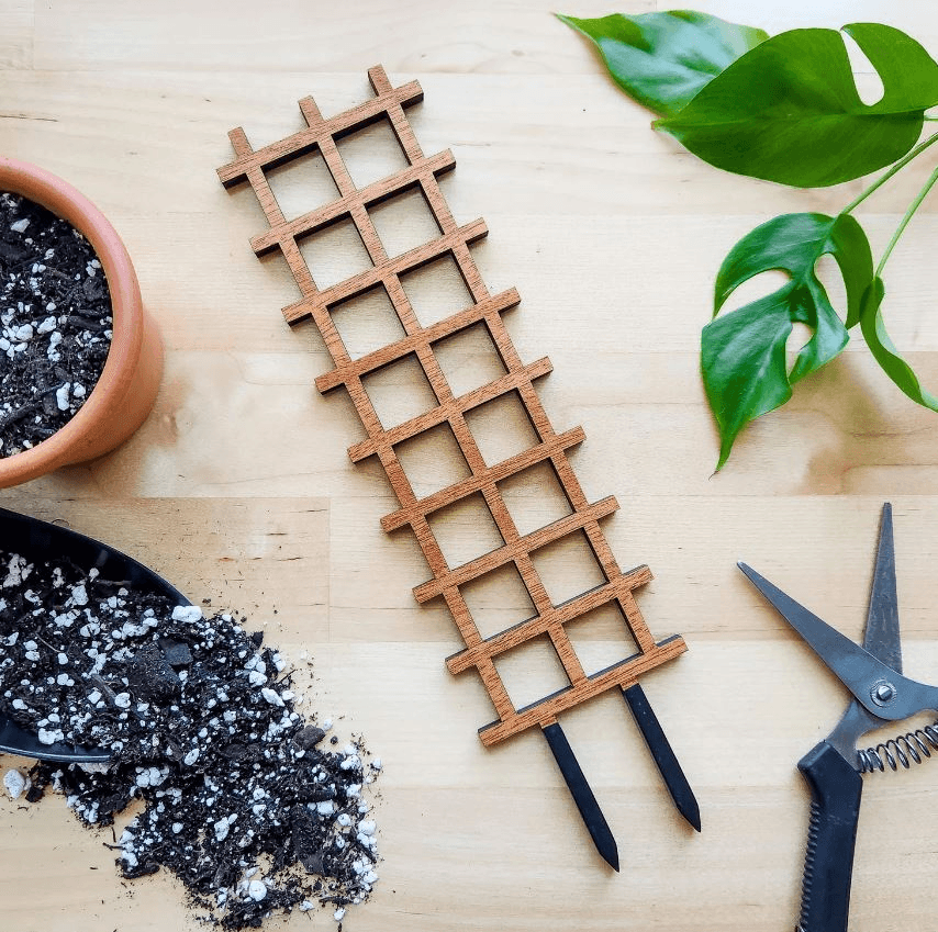 These Plant Ladders Are My Favorites