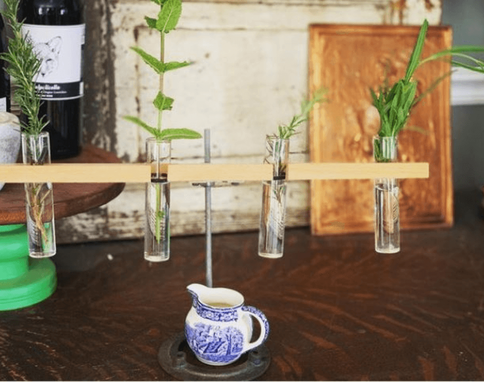 How to Create the Perfect Plant Propagation Station