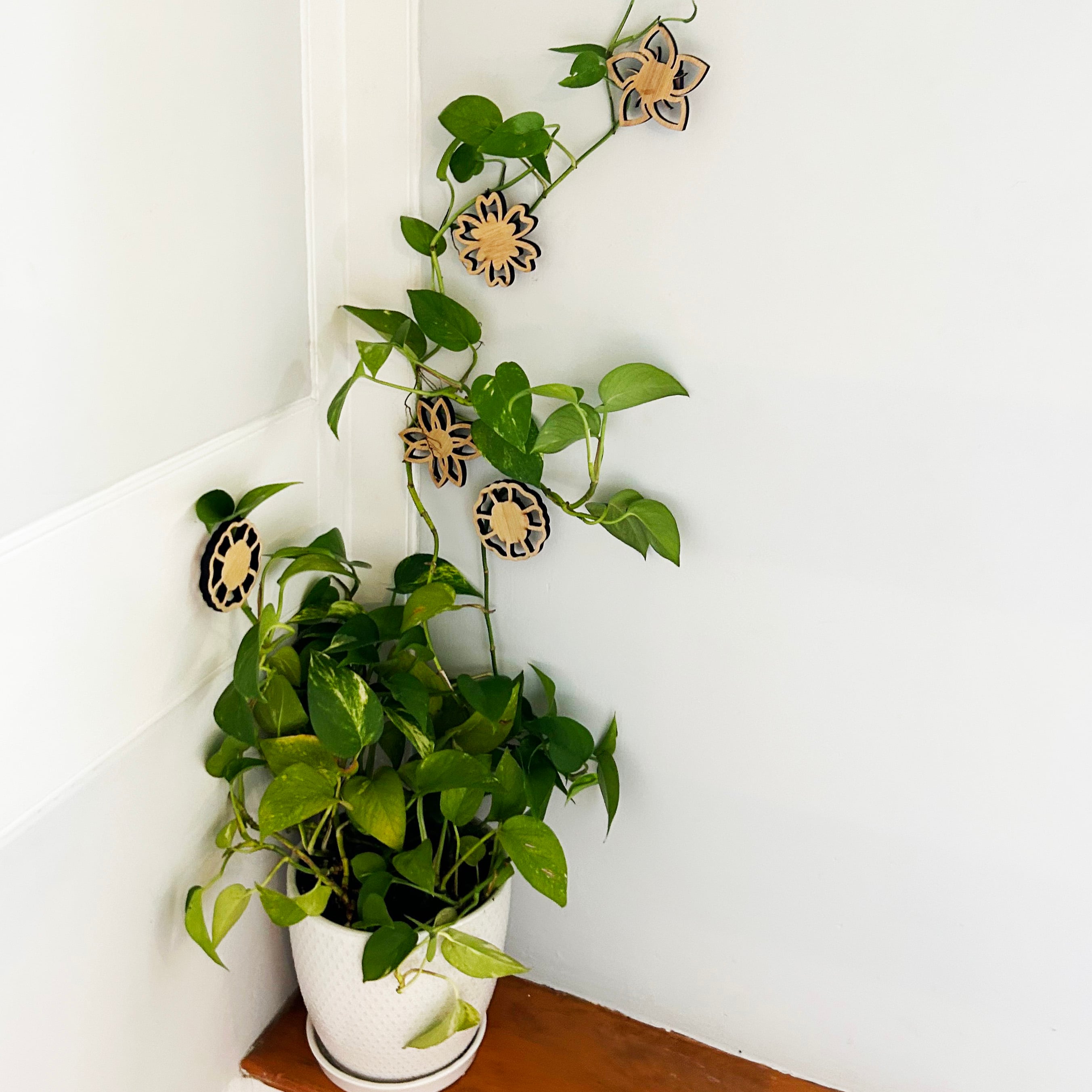 Wild Flower Wall Trellis MultiPacks