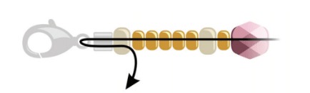 Basic Stringing