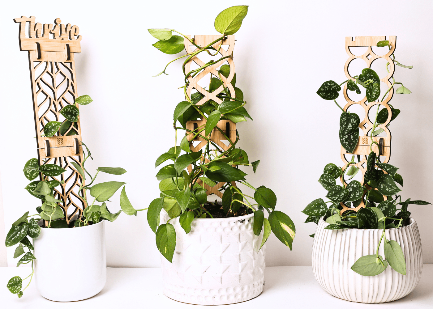 Home [floratrel.com]