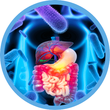 Total Fem Biome Guard Pre & Probiotic